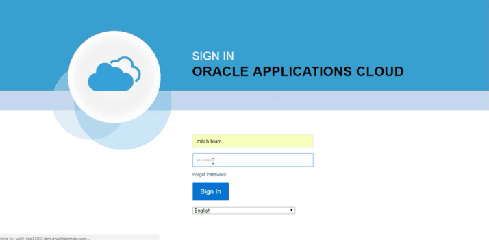 Oracle Cloud HCM Security Overview | Enterprise Resource Planning and ...